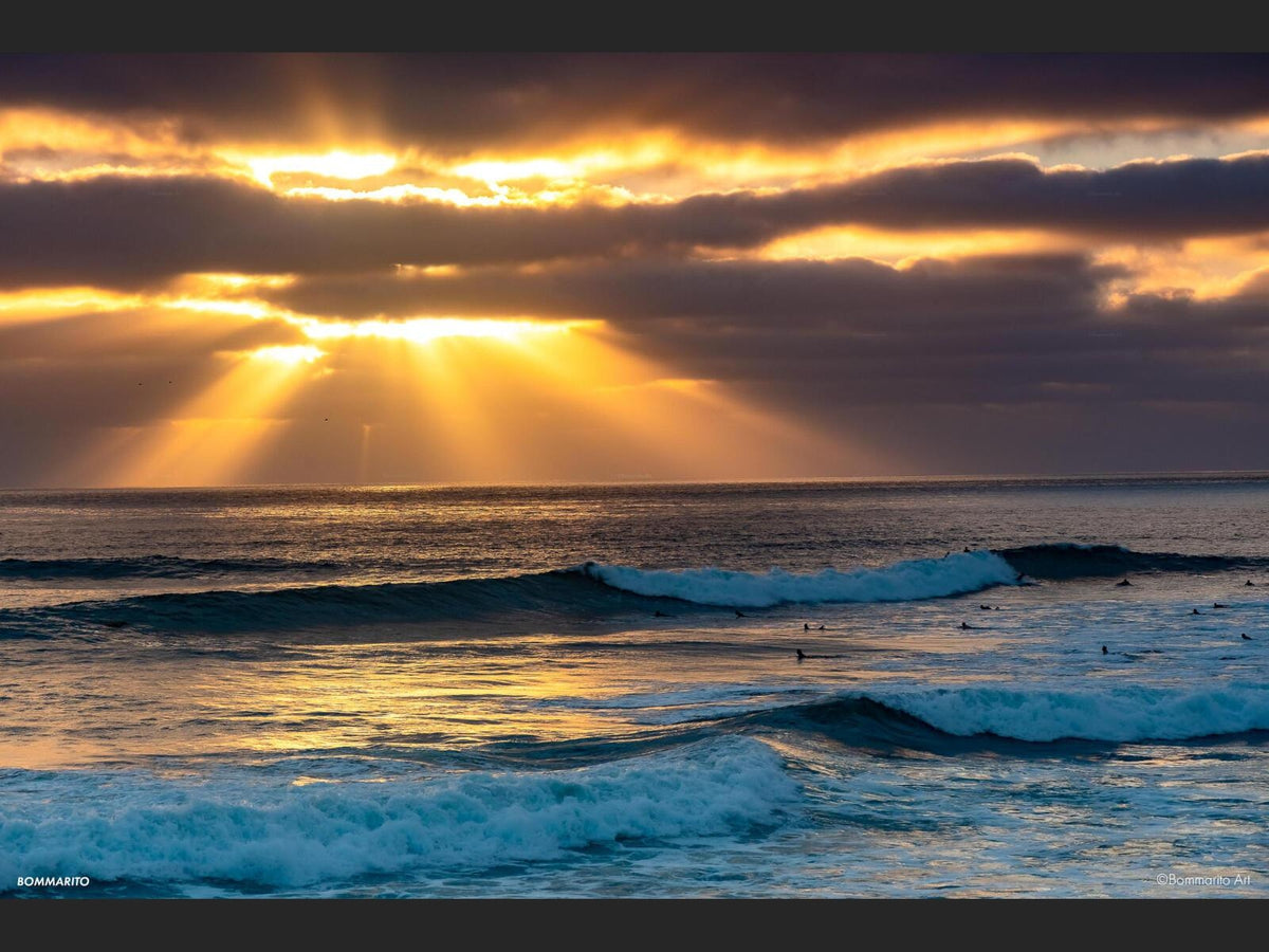 Windansea Beach - Bommarito Art